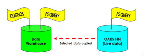 Running OAKS FIN Queries